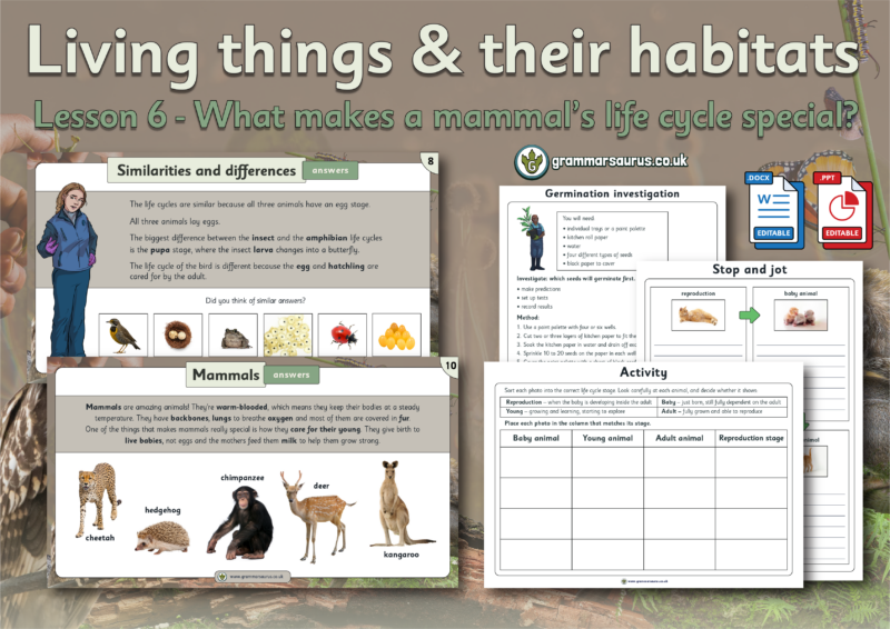 Year 5 Science - Living things and their habitats - What makes a mammal ...