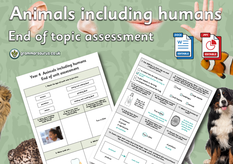 Year 4 Science - Animals including humans - End of topic assessment ...