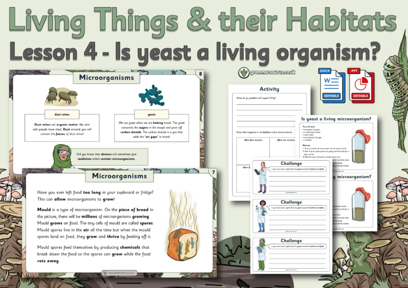 Year 6 Science - Living Things and their Habitats - Is yeast a living ...