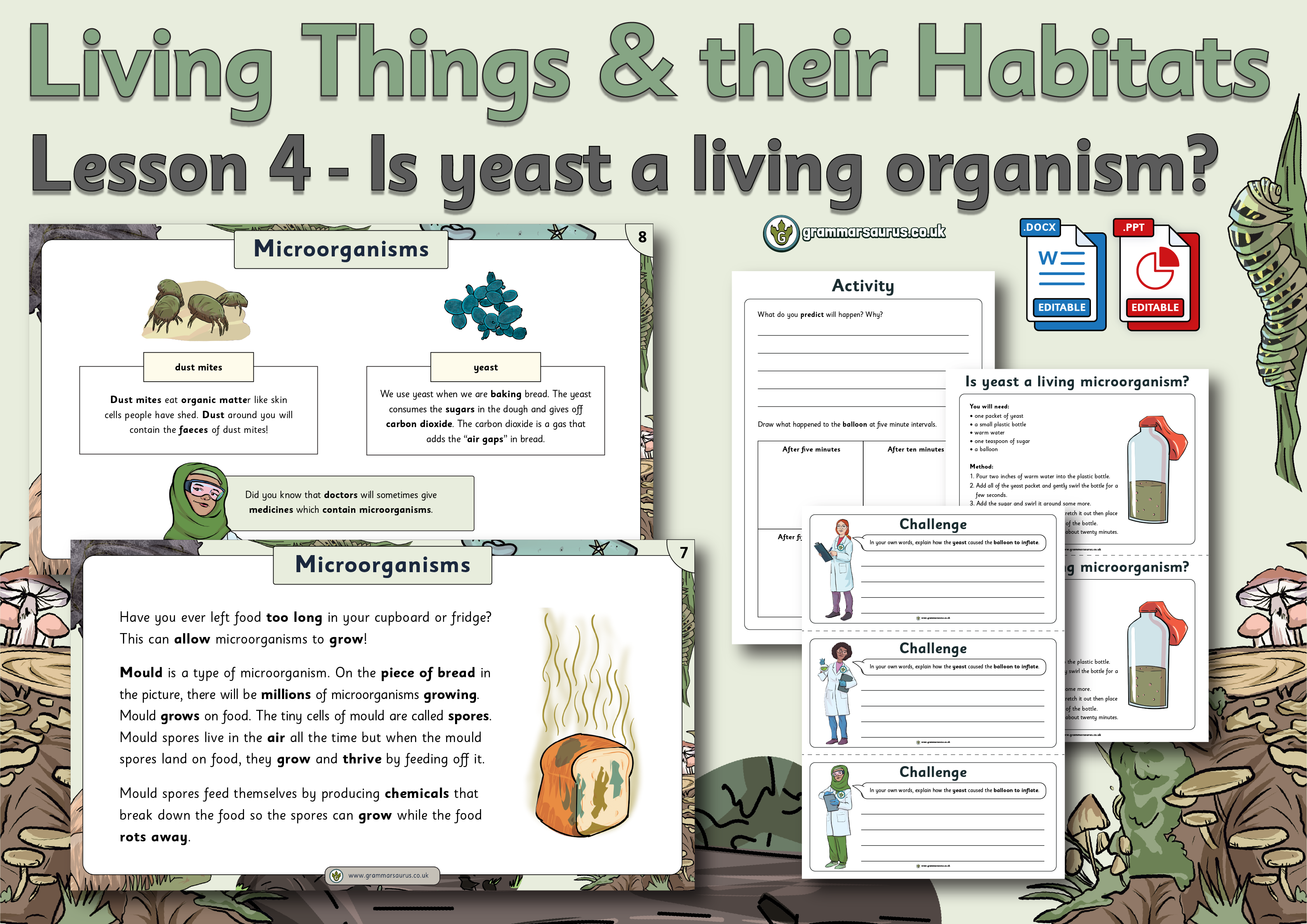 Year 6 Science - Living Things and their Habitats - Is yeast a living ...