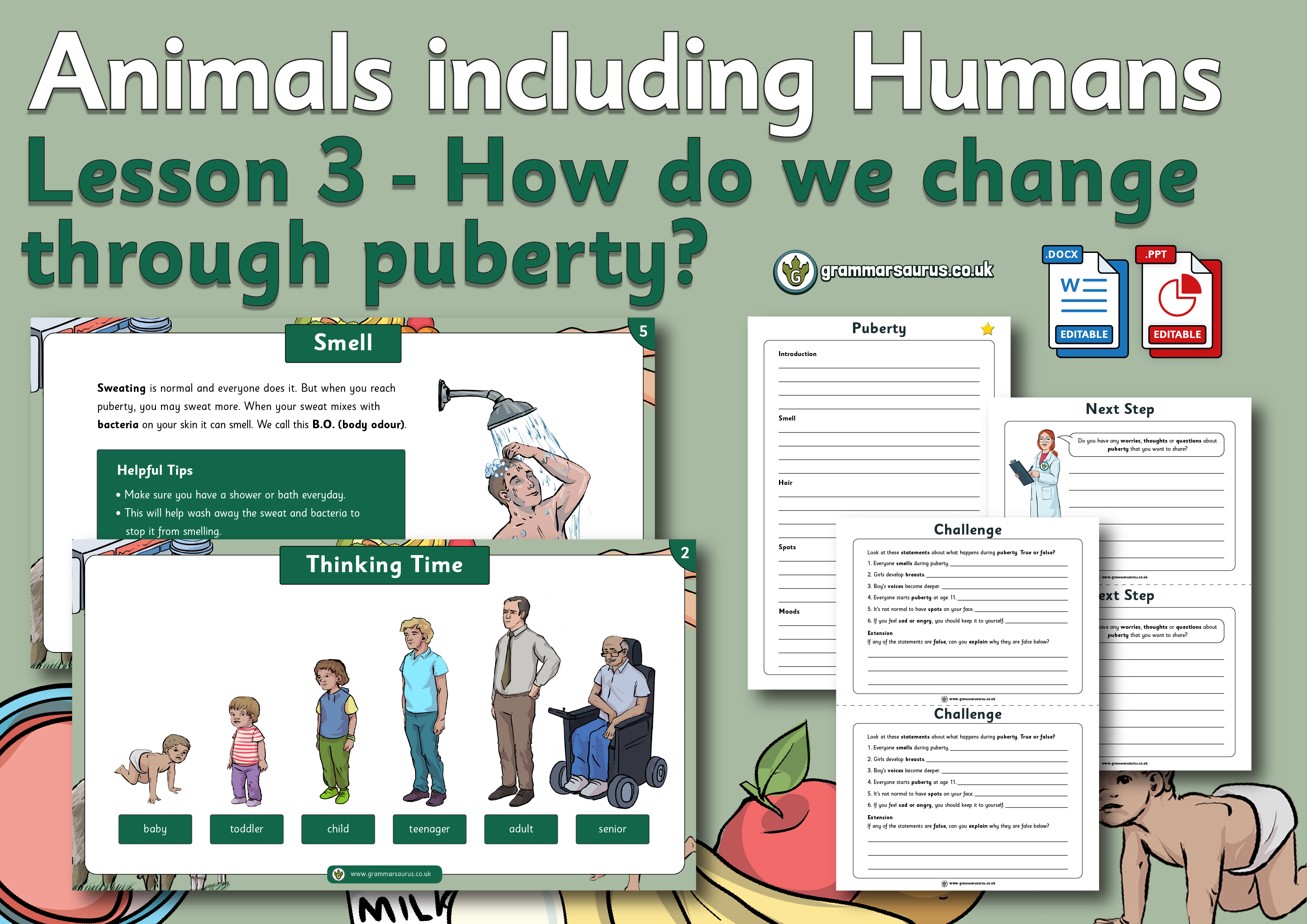 Year 5 Science - Animals including Humans - How do we change through ...
