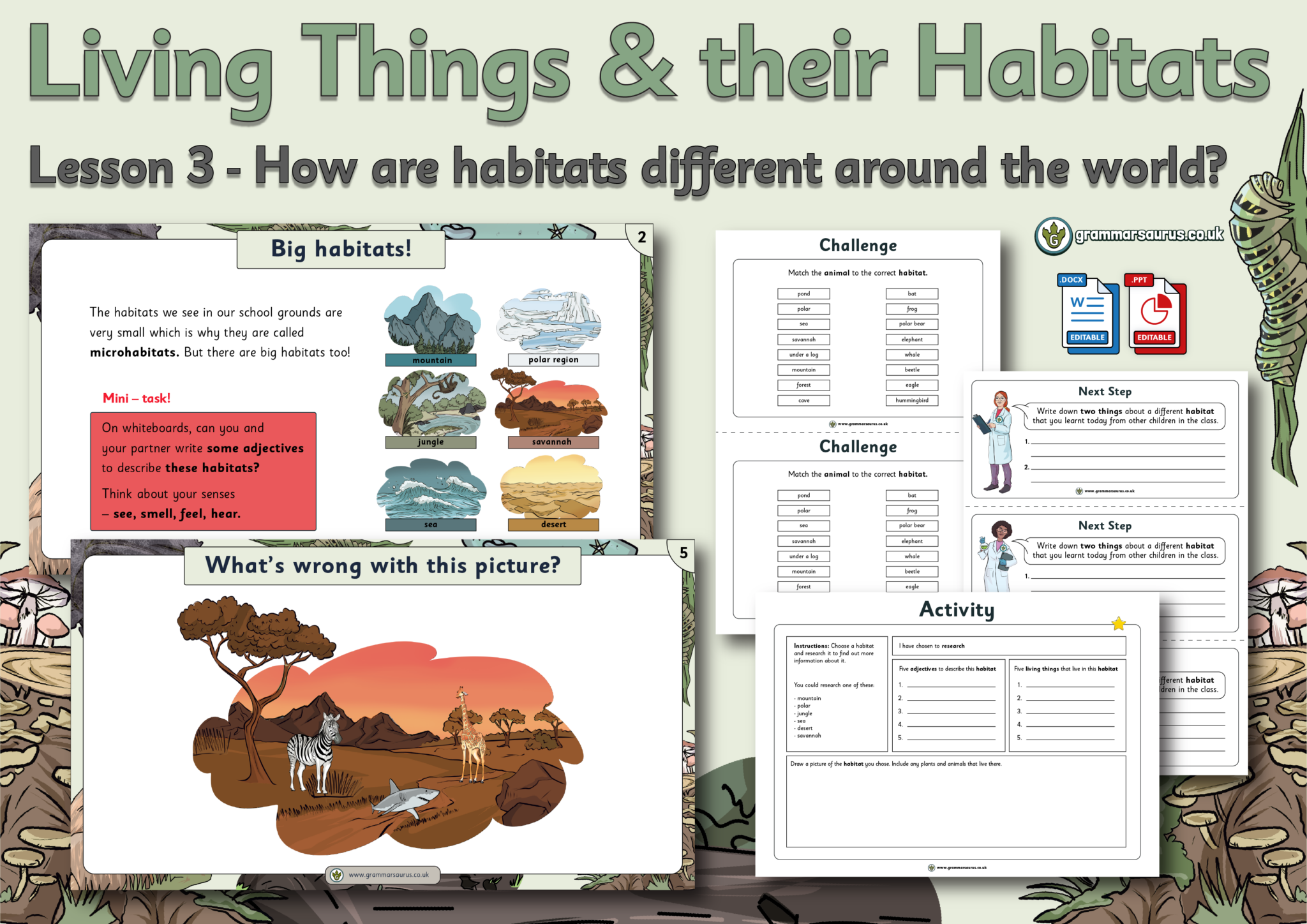 Year 2 Science - Living Things and their Habitats - How are habitats different round the World ...