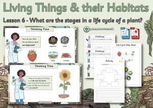 Year 5 Science - Living Things and their Habitats - What are the stages ...