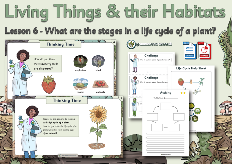 Year 5 Science - Living Things and their Habitats - What are the stages ...