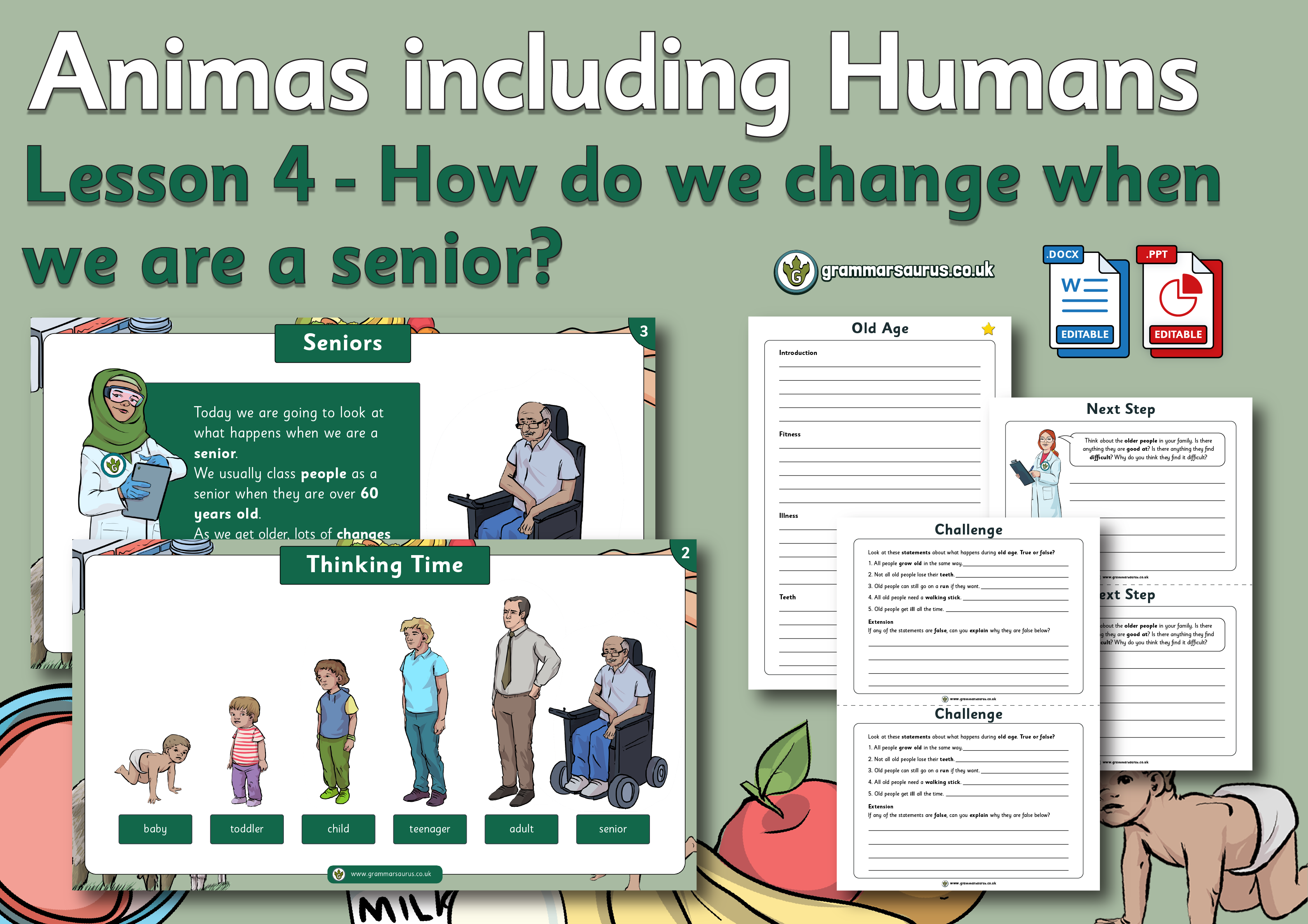 Year 5 Science - Animals including Humans - How do we change when we ...