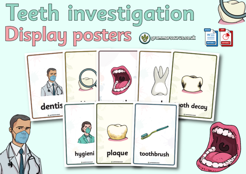 Year 4 Science – Animals including Humans – Teeth Investigation ...