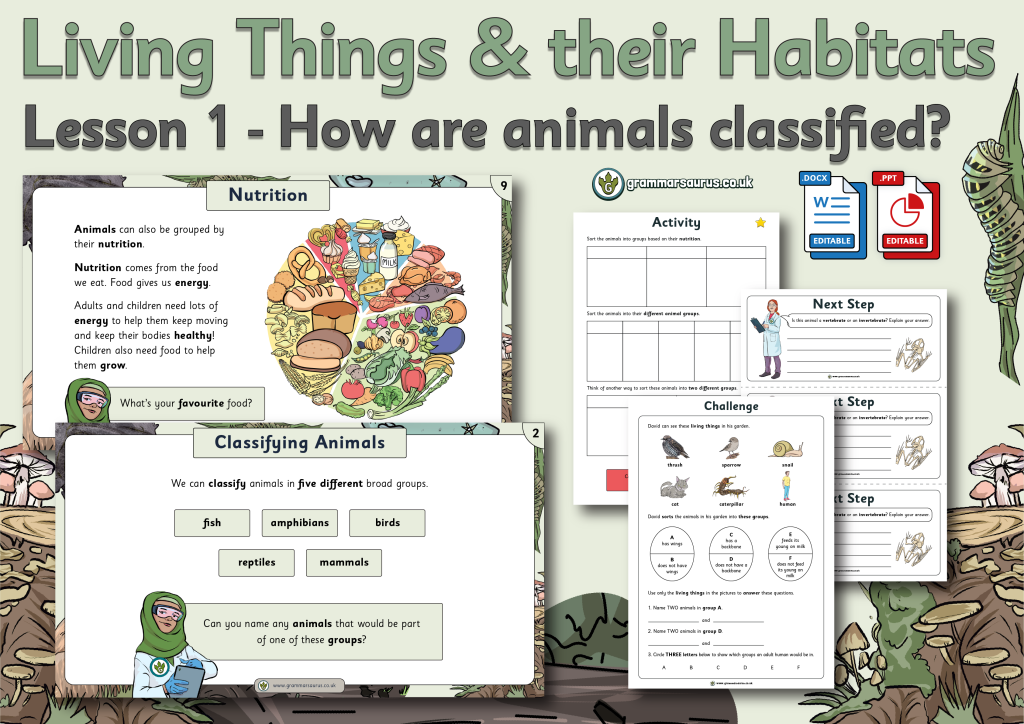 Year 6 Science - Living Things and their Habitats - How are animals classified? Lesson 1 ...