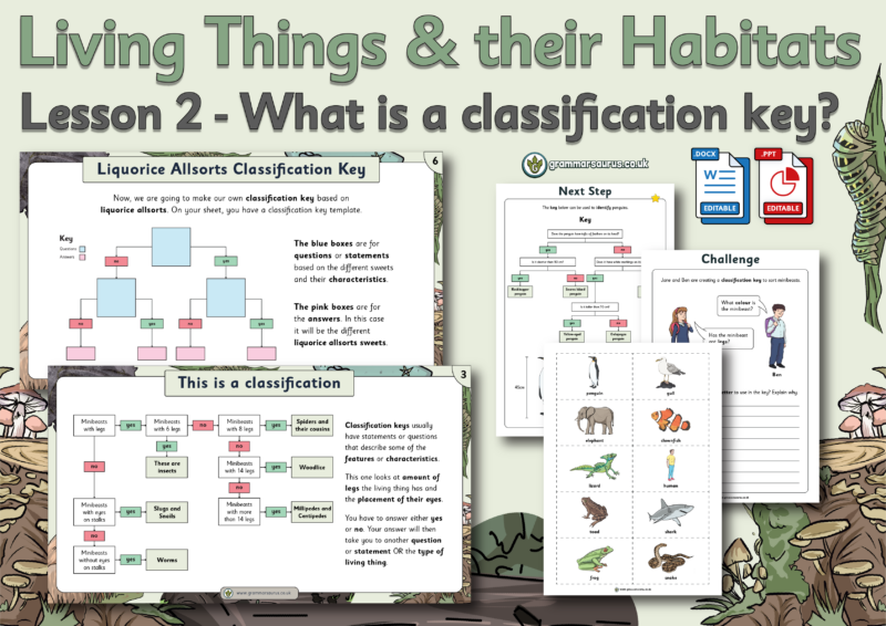 Year 6 Science - Living Things and their Habitats - What is a ...