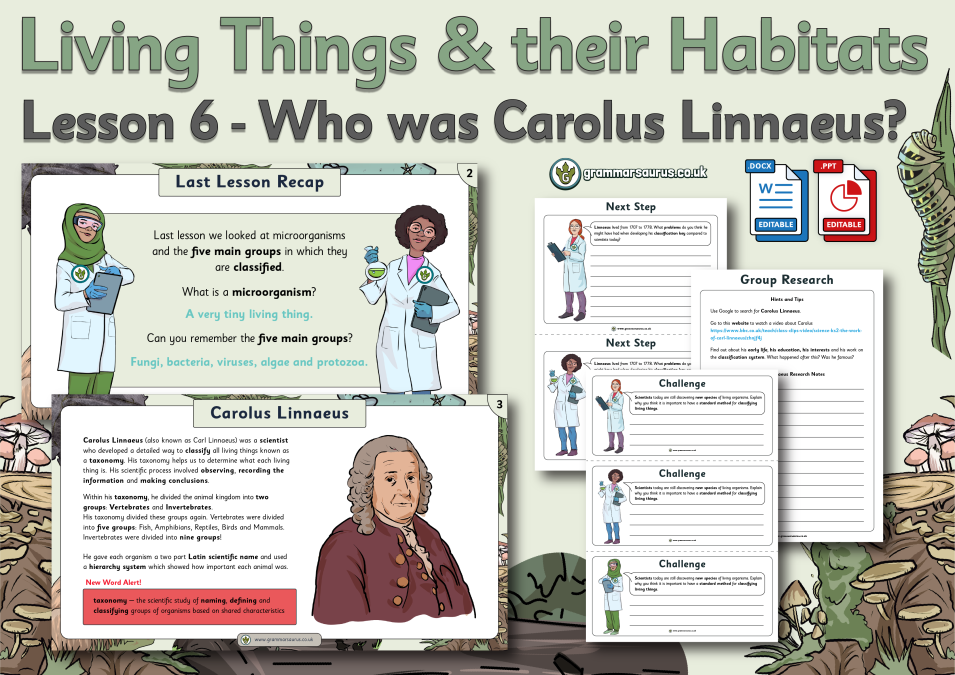 Year 6 Living Things and their Habitats - Grammarsaurus