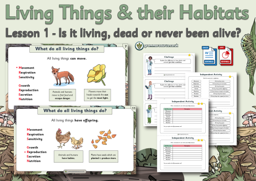 Year 2 Science - Living Things and their Habitats - Is it living, dead ...