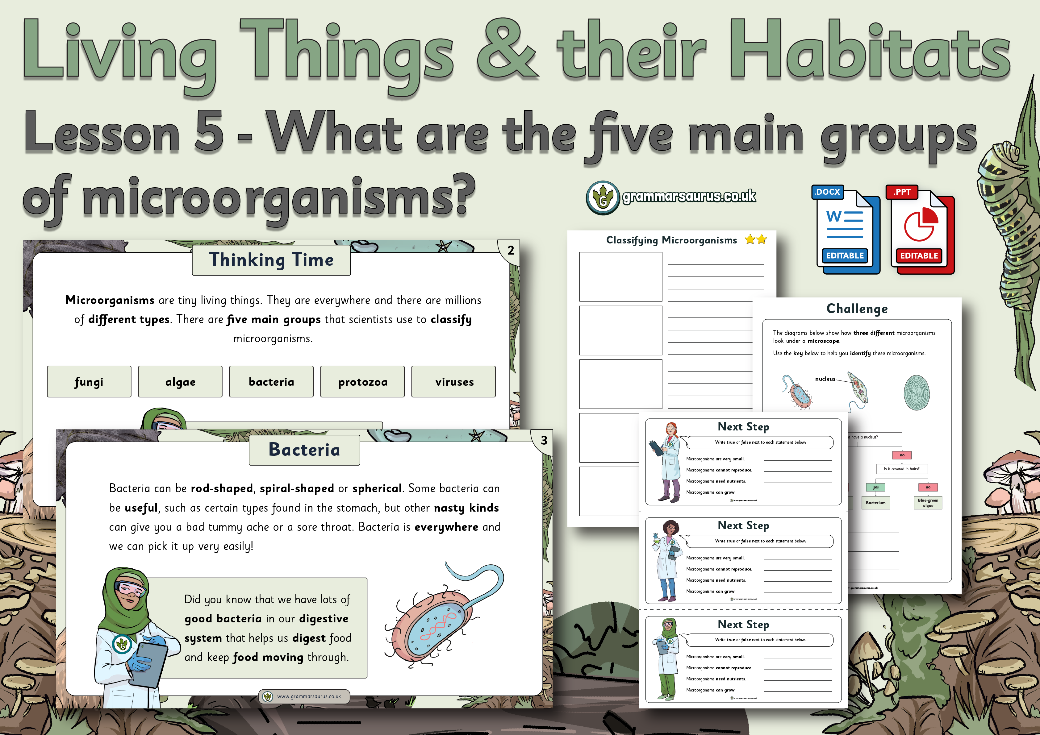 Year 6 Science - Living Things and their Habitats - What are the five ...