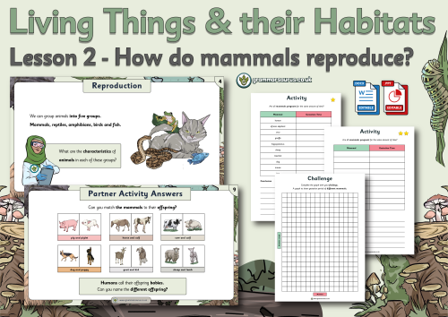 Year 5 Science - Living Things and Their Habitats - How do mammals ...