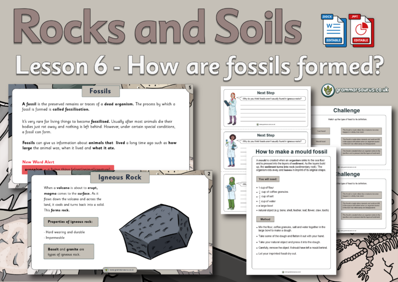 Year 3 Science - Rocks and Soils - How are fossils formed? Lesson 6 ...