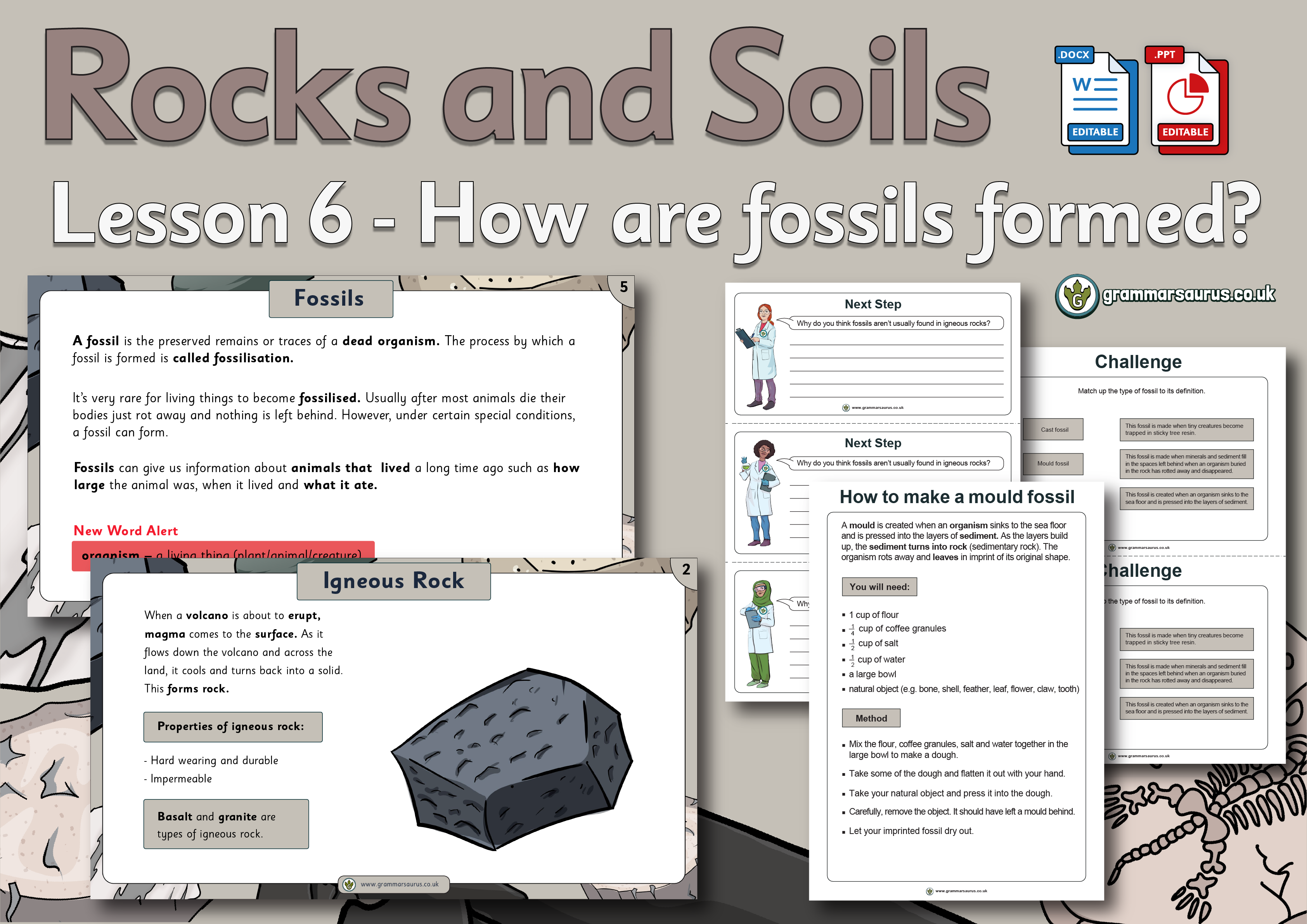 Year 3 Science - Rocks and Soils - How are fossils formed? Lesson 6 ...
