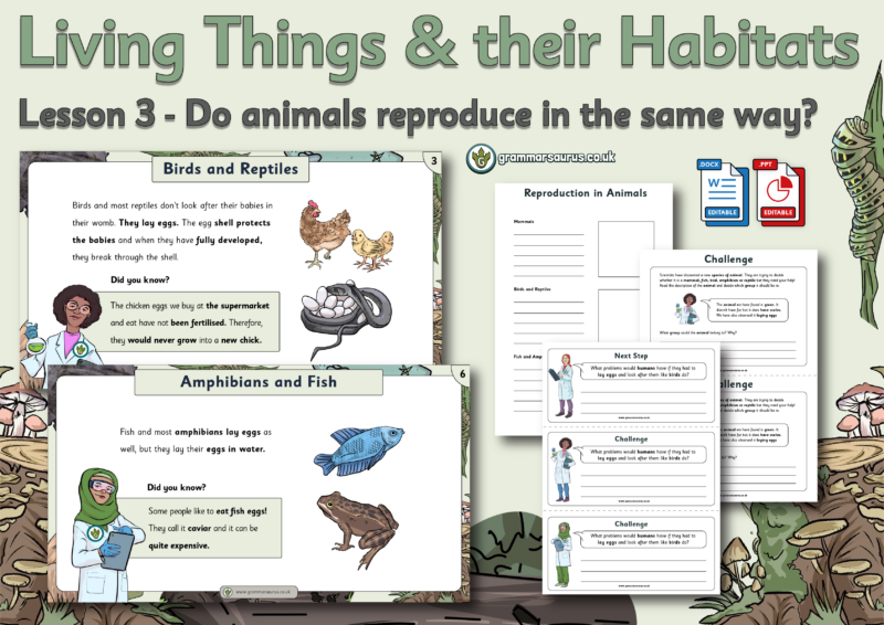 Year 5 Science - Living Things and their Habitats - Do animals ...