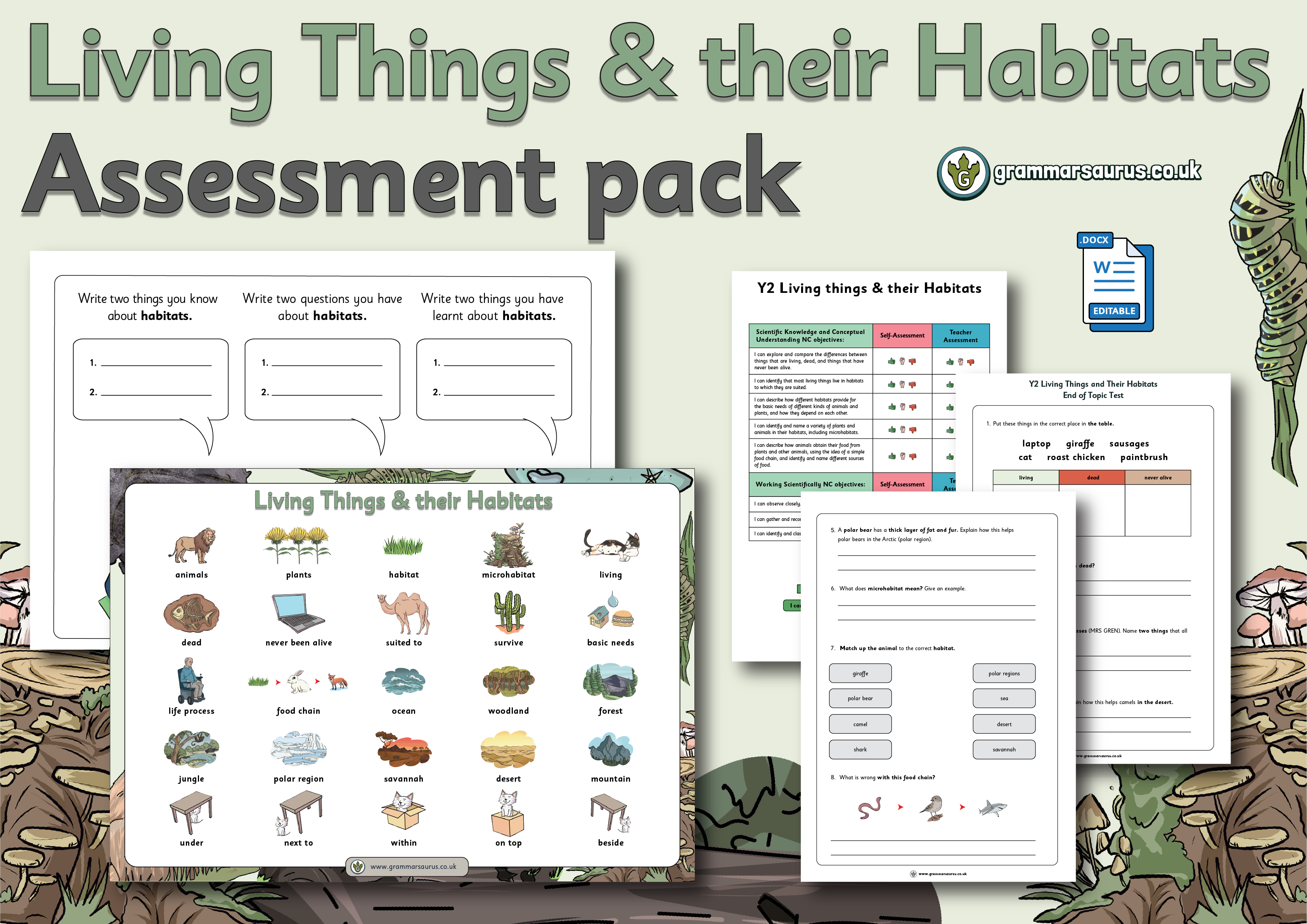 Year 2 Science - Living Things and their Habitats - Assessment Pack ...