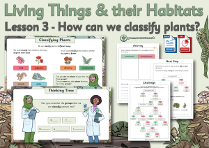 Year 6 Science - Living Things and their Habitats - How can we classify ...
