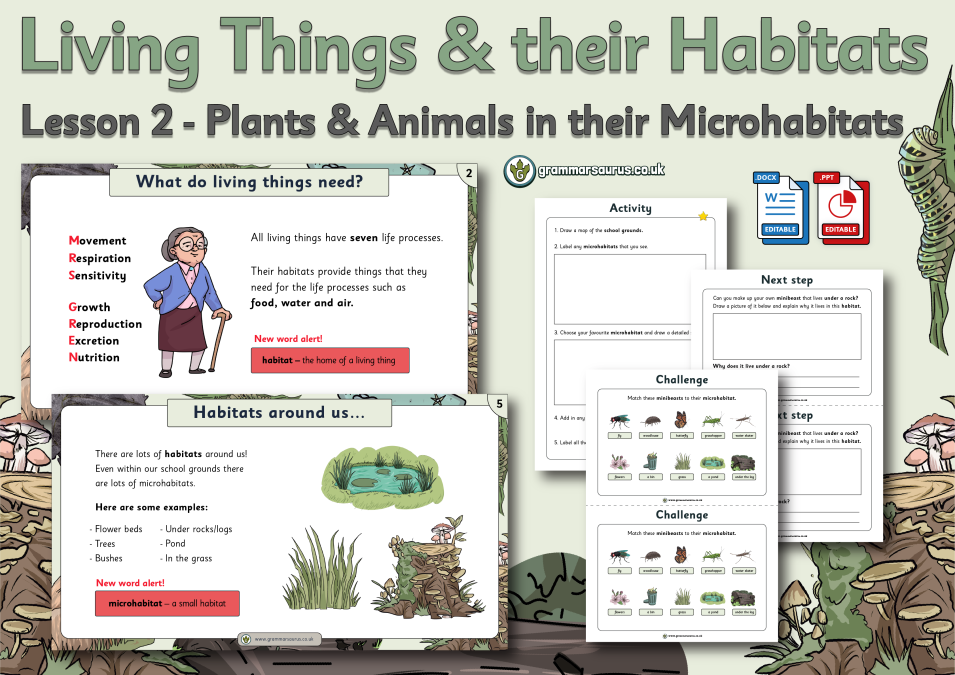 Year 2 Science - Living Things and their Habitats - Plants and Animals ...