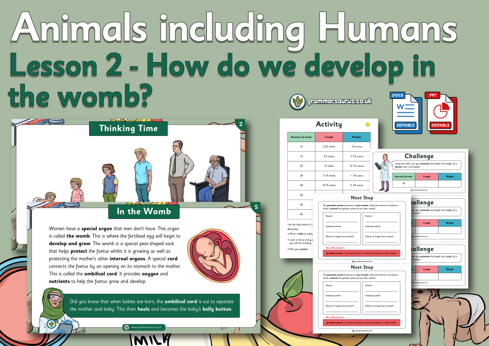 Year 5 Animals including Humans - Grammarsaurus