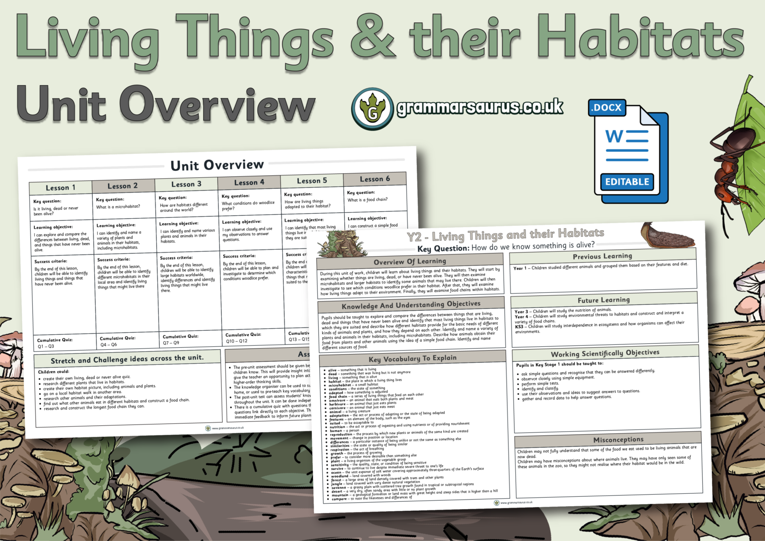 Year 2 Science - Living Things and their Habitats - Unit Overview ...