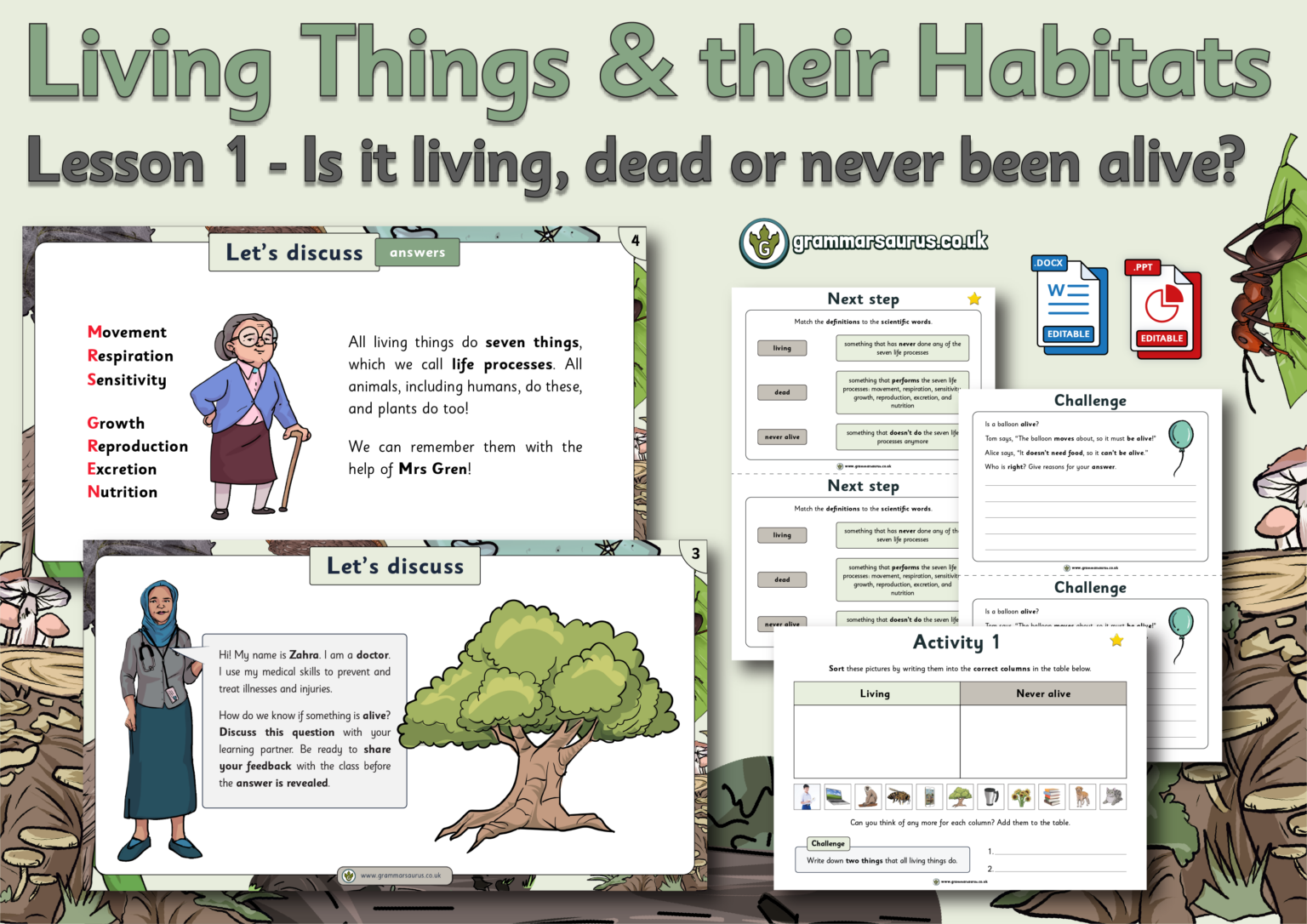 Year 2 Science - Living Things and their Habitats - Is it living, dead ...