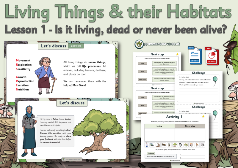 Year 2 Science - Living Things and their Habitats - Is it living, dead ...