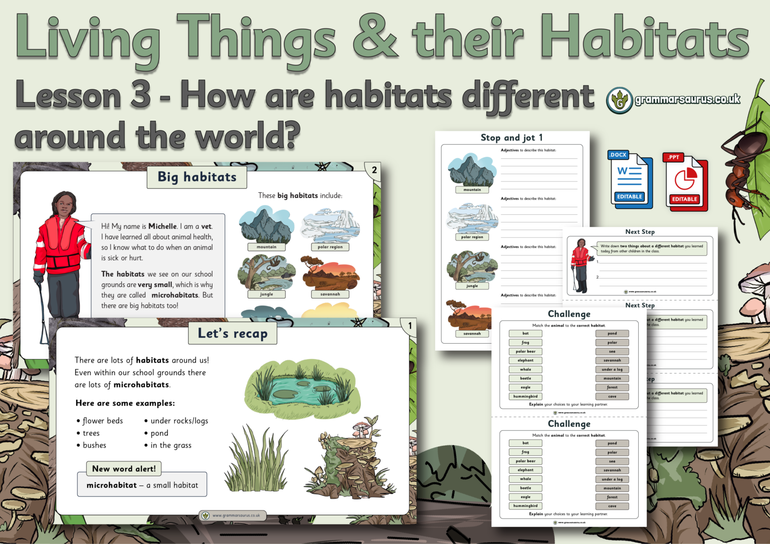 Year 2 Science - Living Things and their Habitats - How are habitats different round the World ...