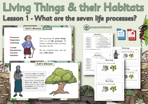 Year 4 Science - Living Things and their Habitats - What are the Seven ...