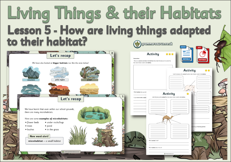 Year 2 Science - Living Things and their Habitats - How are living ...