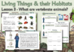 Year 4 Science - Living Things and their Habitats - What are Vertebrate animals? Lesson 3 ...
