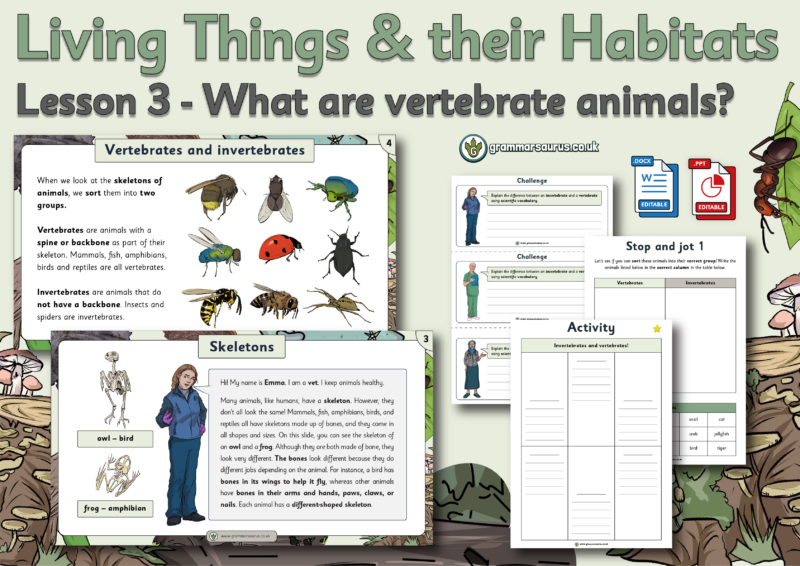Year 4 Science - Living Things and their Habitats - What are Vertebrate ...