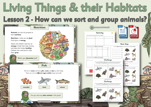 Year 4 Science - Living Things and their Habitats - How can we sort and ...