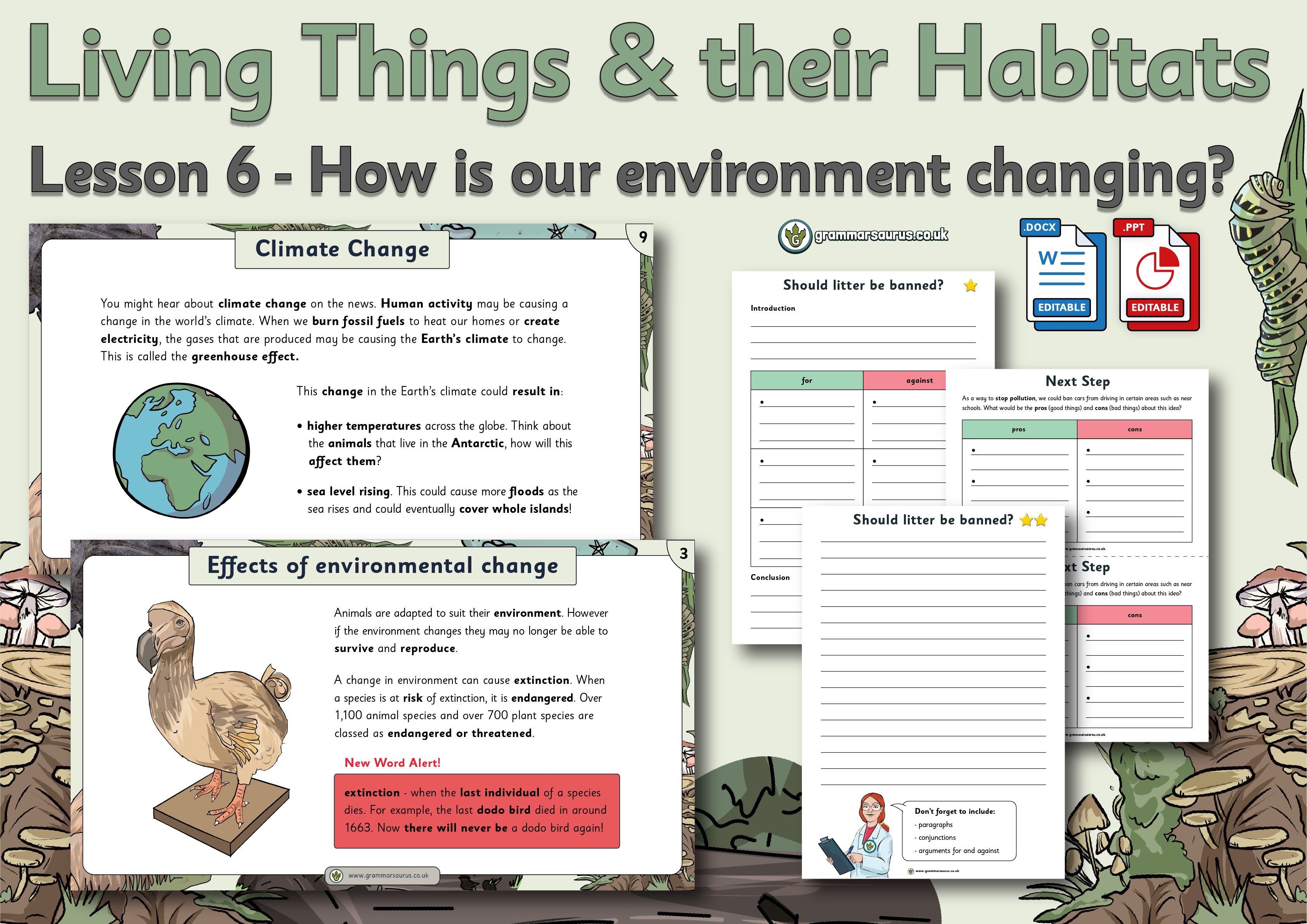 Year 4 Science - Living Things and their Habitats - How is our ...