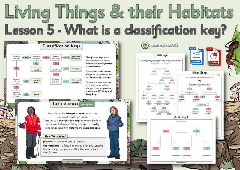 Year 4 Science - Living Things and their Habitats - What is a ...