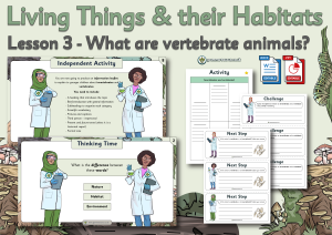 Year 4 Science - Living Things and their Habitats - What are Vertebrate ...