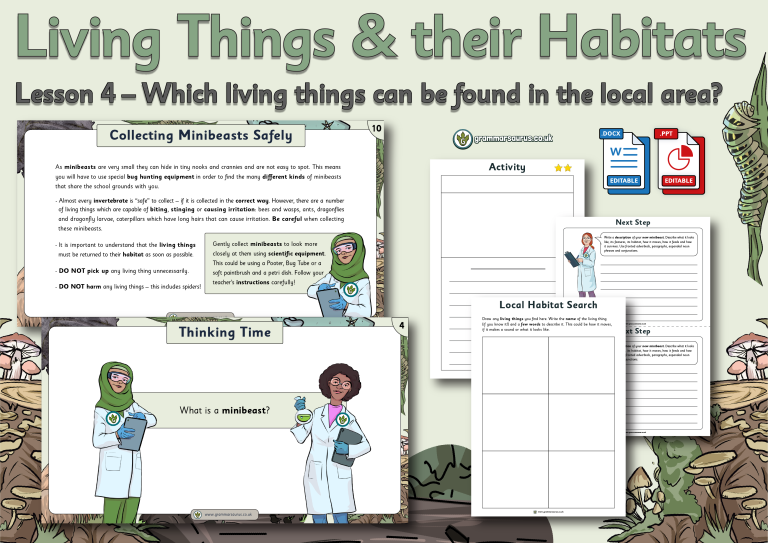 Year 4 Science - Living Things and their Habitats - Which living things can be found in the ...