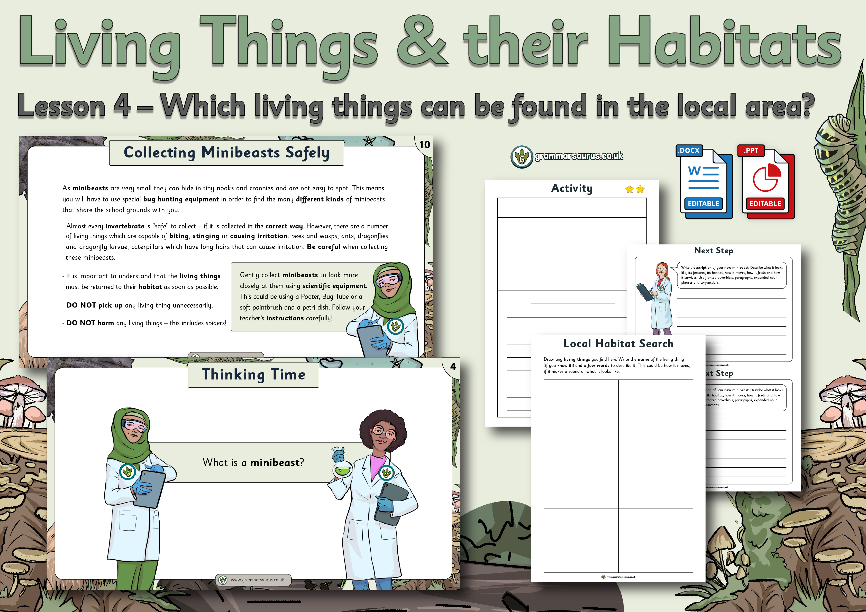 Year 4 Science - Living Things and their Habitats - Which living things ...