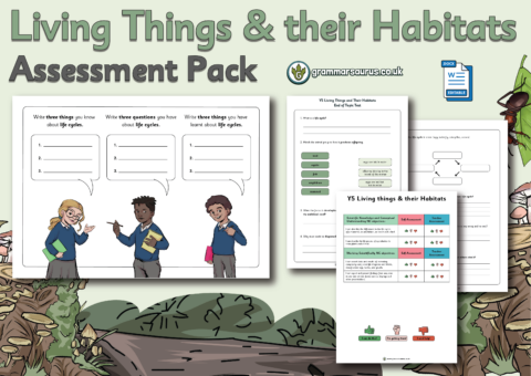 Year 5 Science - Living Things and their Habitats - Assessment Pack - Grammarsaurus