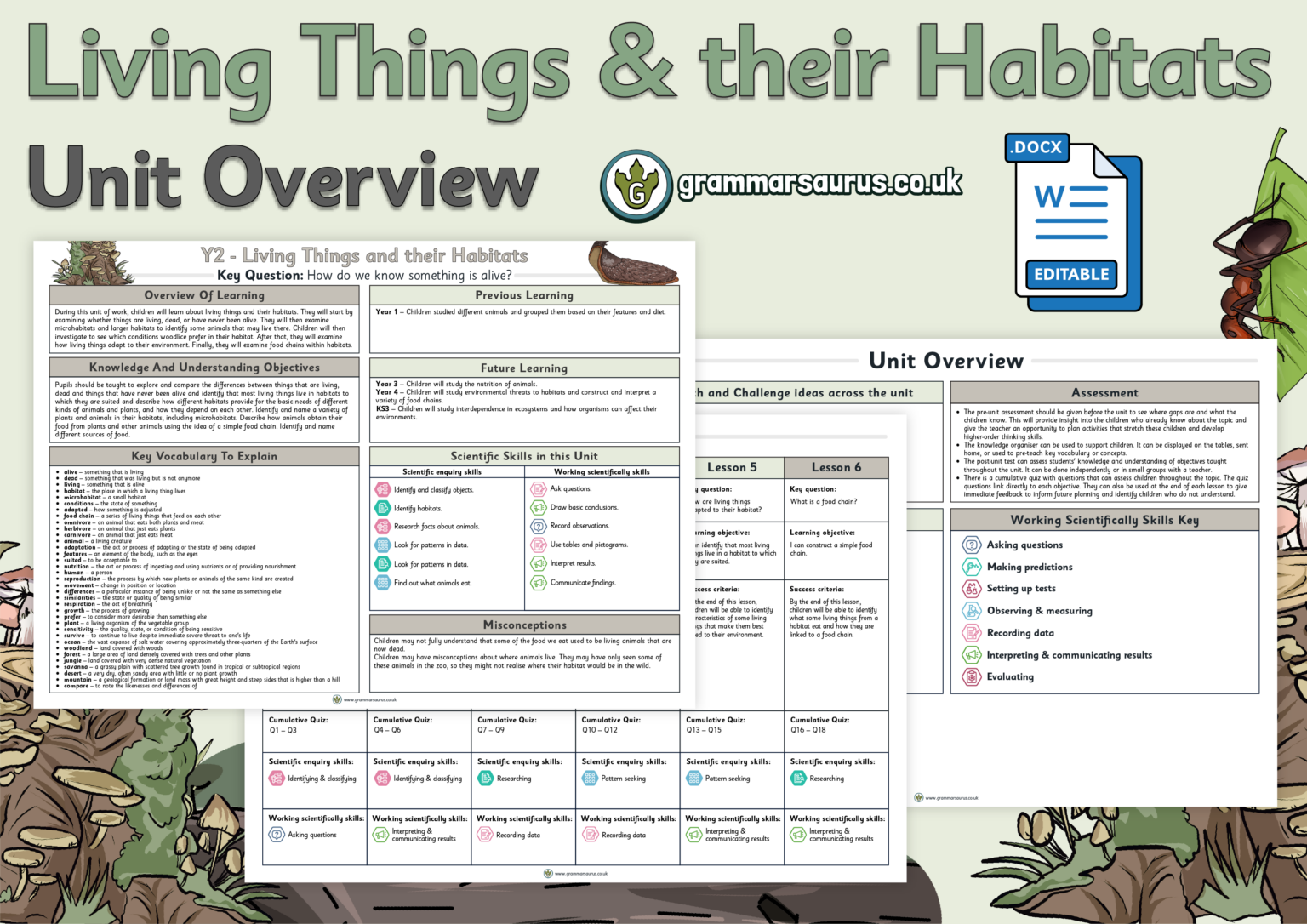 Year 2 Science - Living Things and their Habitats - Unit Overview - Grammarsaurus