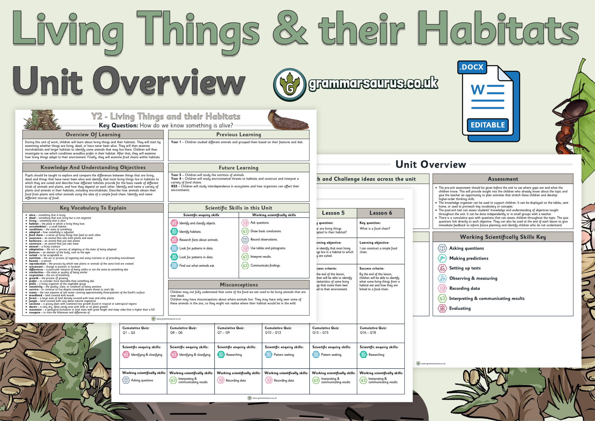 Year 2 Science - Living Things and their Habitats - Unit Overview ...