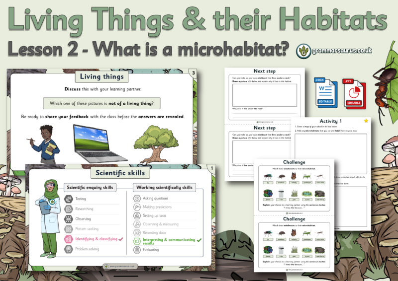 Year 2 Science - Living Things and their Habitats - What is a microhabitat? Lesson 2 - Grammarsaurus
