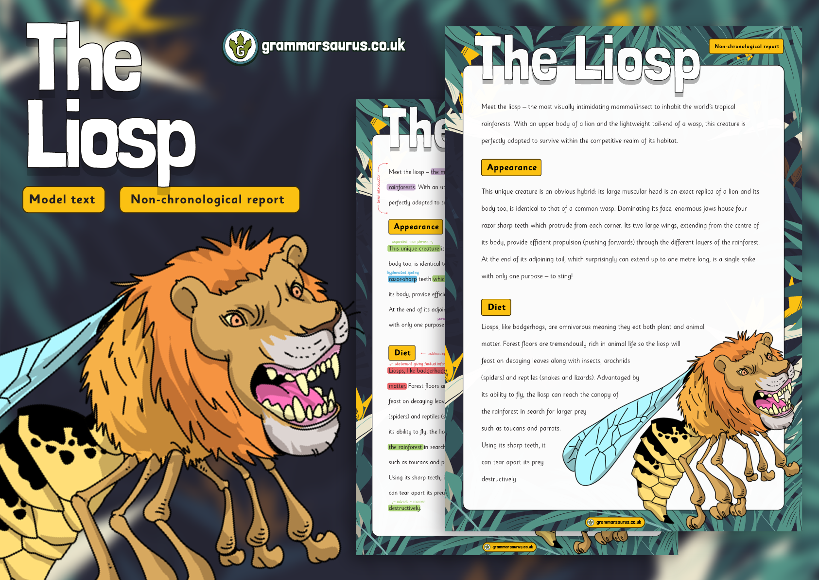 Year 5 Model Text - Non-chronological report - The Liosp - Grammarsaurus