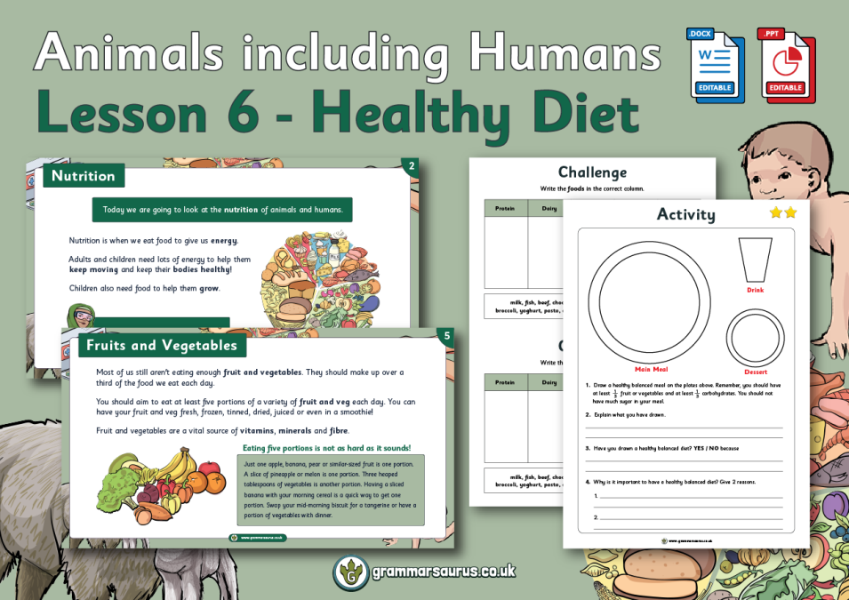 Year 2 Animals including Humans - Grammarsaurus