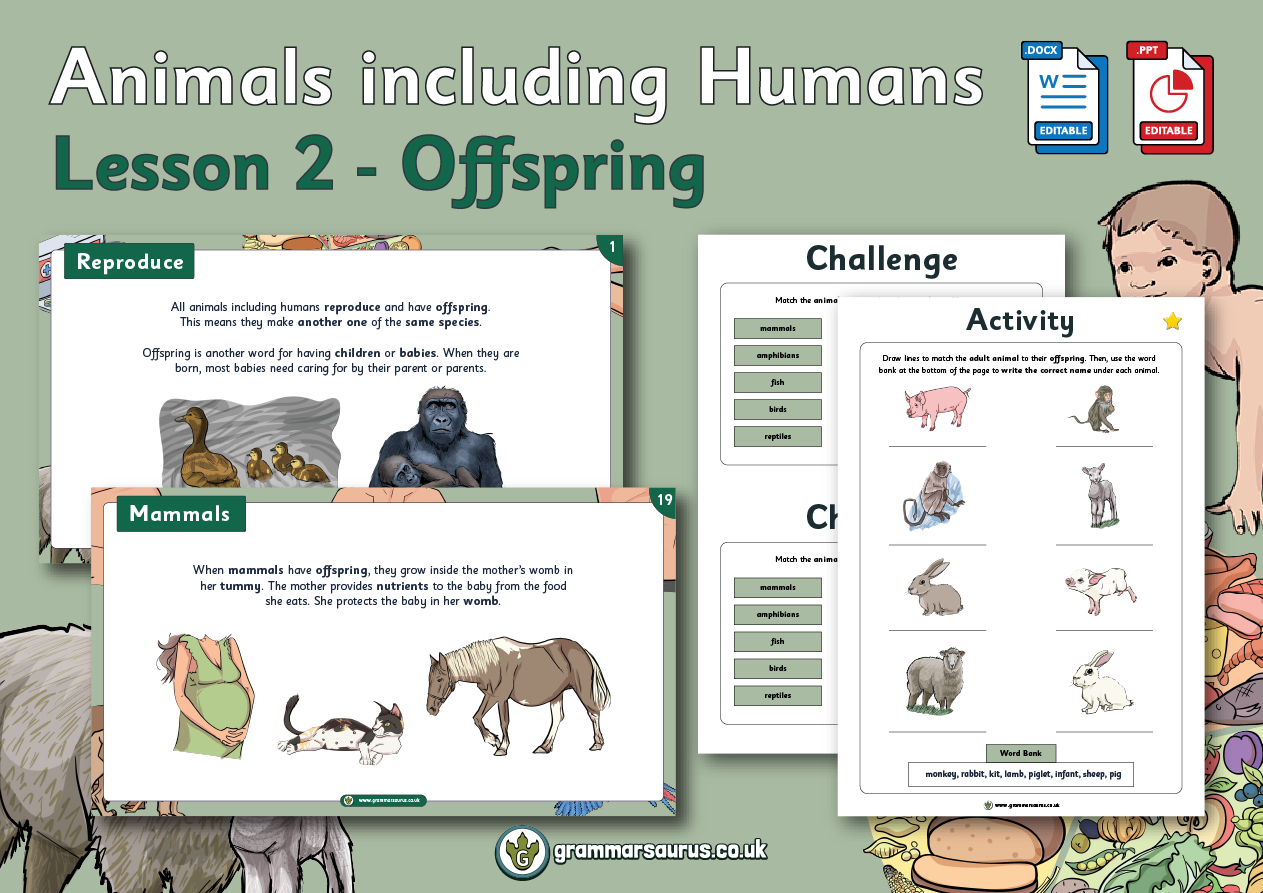 Year 2 Animals including Humans - Grammarsaurus
