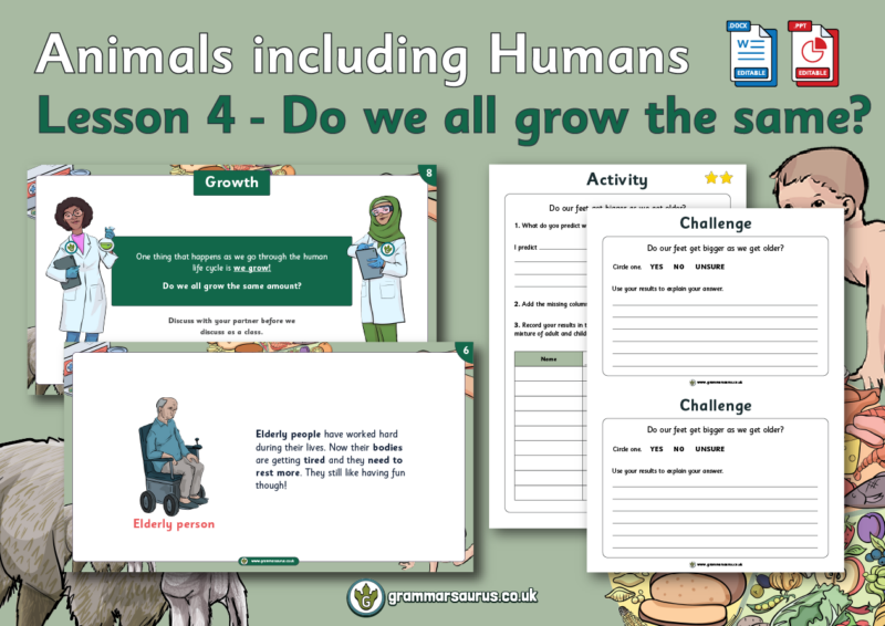 Year 2 Science - Animals including Humans - Do we all grow the same ...