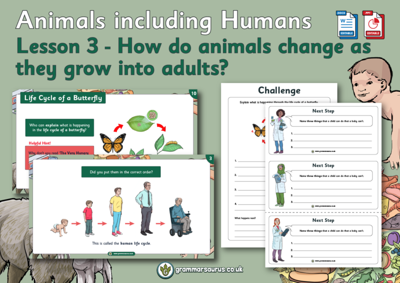 Year 2 Science - Animals including Humans - How do animals change as ...