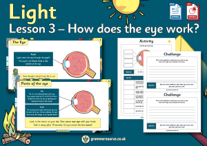 Year 6 Science - Light - How does the eye work? Lesson 3 - Grammarsaurus