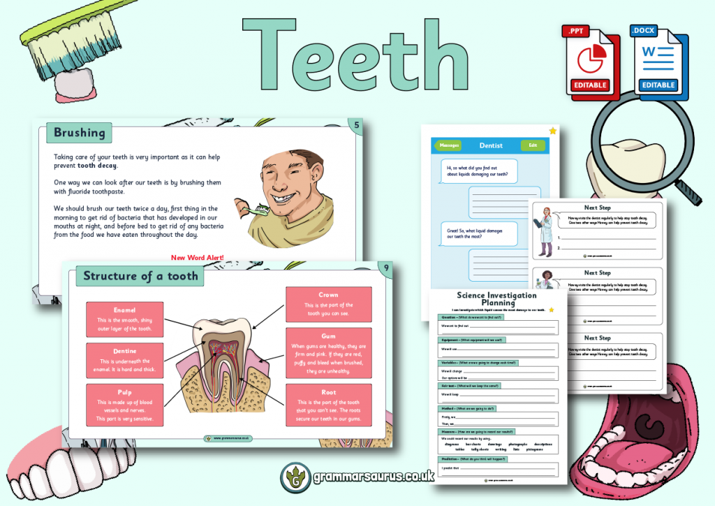 website ad (33) - Grammarsaurus