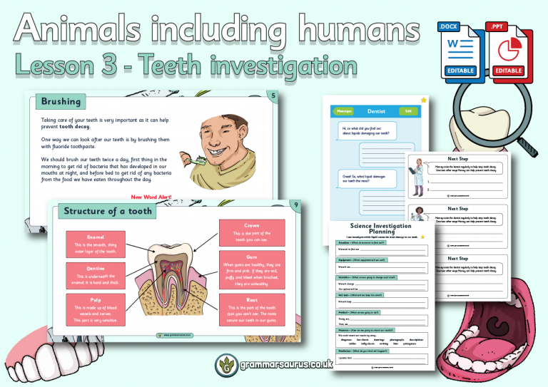 Year 4 Animals including Humans - Grammarsaurus