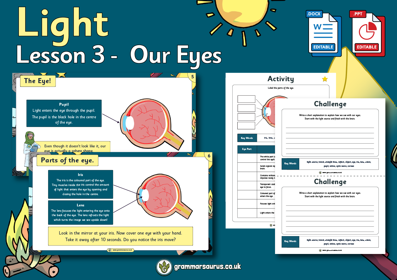 Year 6 Science - Light - Our Eyes - Lesson 3 - Grammarsaurus